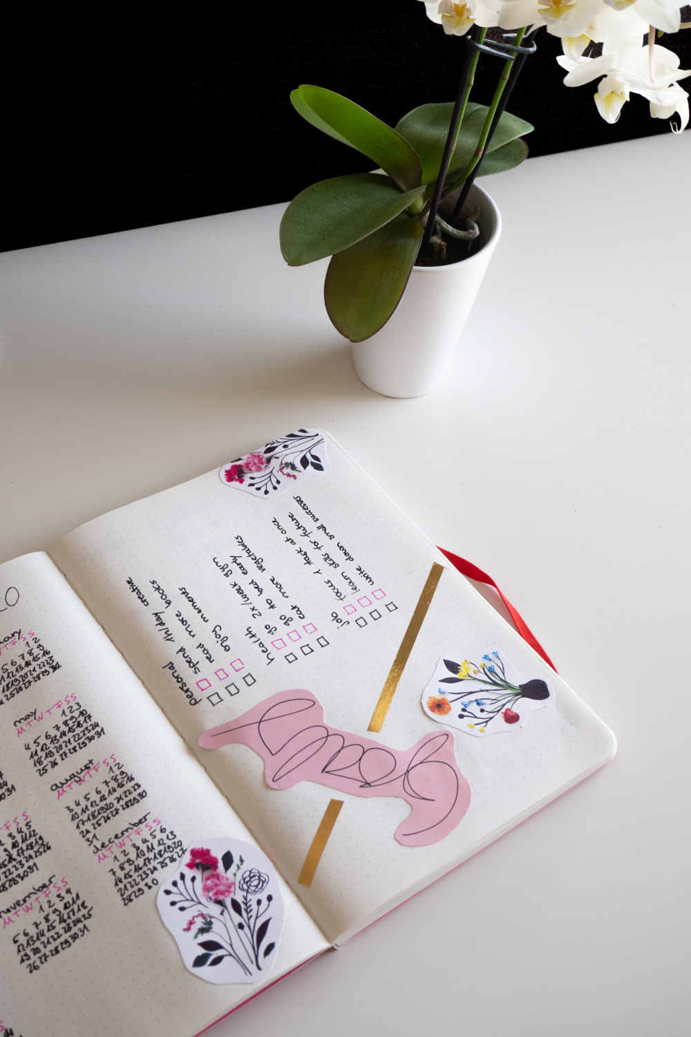 Types of Journals: Key Options and Choosing the Right One