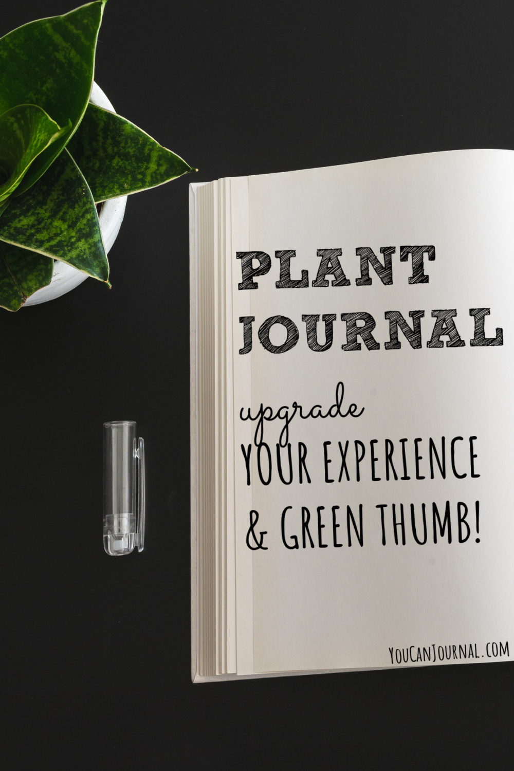 Plant Journal Ideas | Upgrade Your Experience AND Green Thumb!